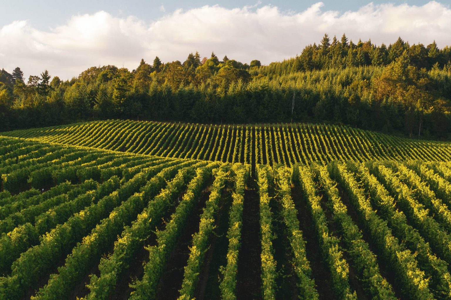 Farming Innovation Programme - TBAT Innovation