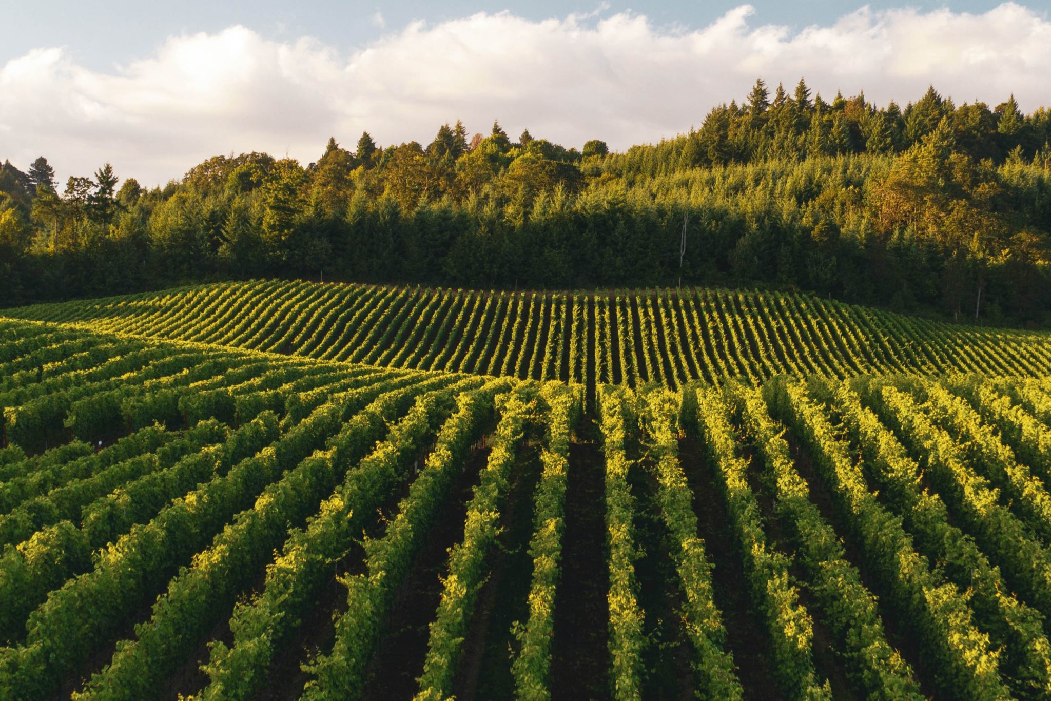 Farming Innovation Programme - TBAT Innovation